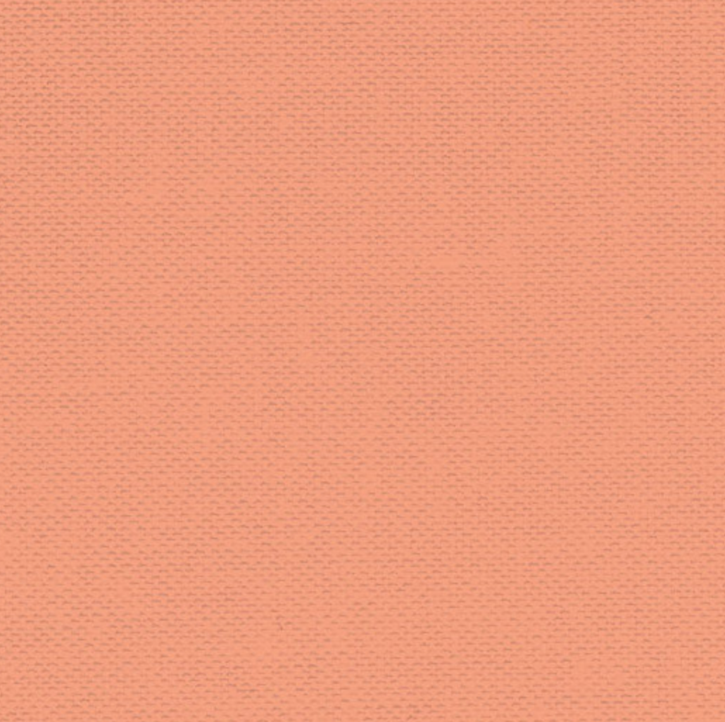 Devonstone Solids - Protea – lemon-lyrebird.com.au